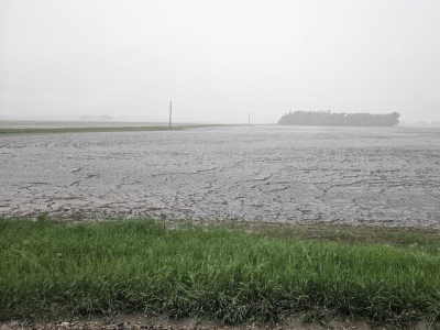 Swan River In Recovery Mode - 730 CKDM